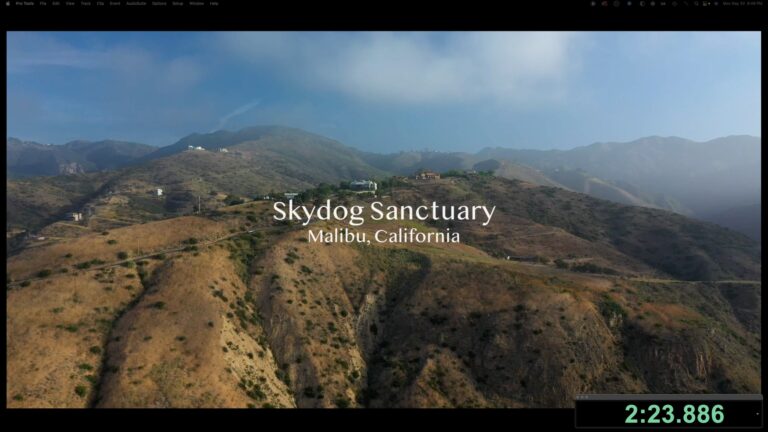 Blue Zeus: A documentary into the World of Wild Mustangs - Dolby Atmos ...